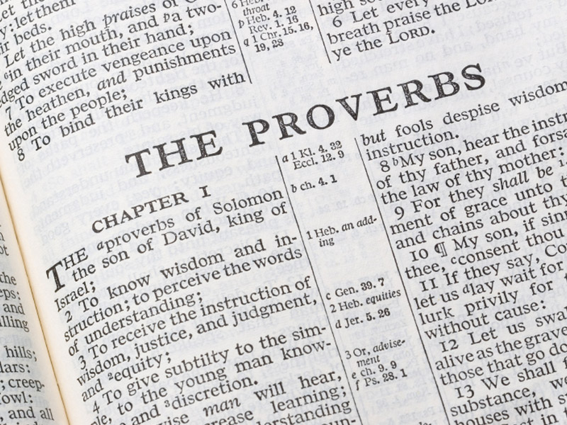 Proverbs 20 - Proverbs for Each Day of the Month
