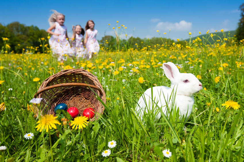 Should A Christian Observe Easter? Part 2